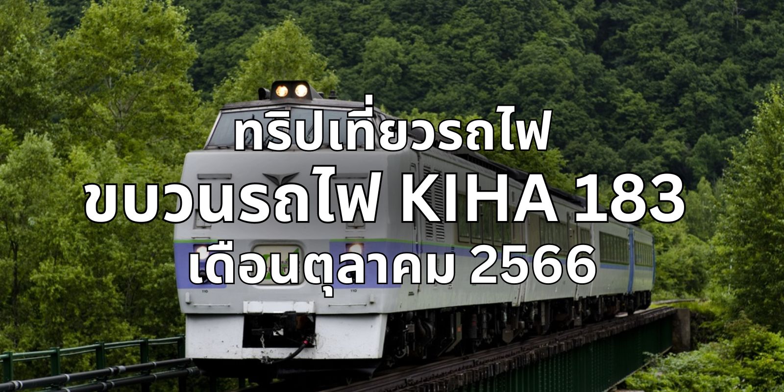 ทริปเที่ยวรถไฟ ขบวนรถไฟ KIHA 183 ในเดือนตุลาคม 2566